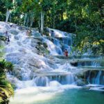 Dunn's River Falls Day Tour - The Rainforest Walk through Fern Gully