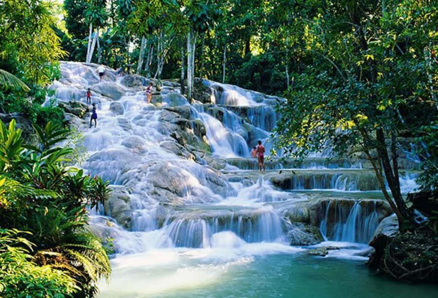 Dunn's River Falls Day Tour - The Rainforest Walk through Fern Gully