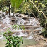 Dunns River Falls & Horseback Ride n Swim Guided Tour - What Travelers Say