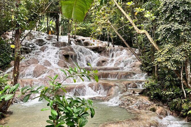 Dunns River Falls & Horseback Ride n Swim Guided Tour - What Travelers Say