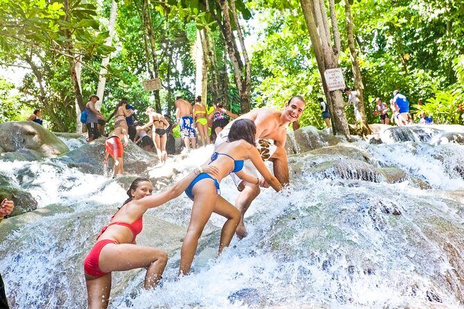 Dunn's River Falls & Luminous Lagoon Guided Tour with Admission from Falmouth - Authentic Experiences and Genuine Insights from Travelers
