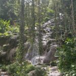 Dunns River Falls Mahogany Beach and Hilltop Lookout Tour - Why This Tour Works Well