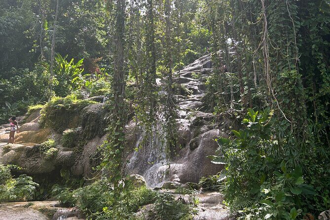 Dunns River Falls Mahogany Beach and Hilltop Lookout Tour - Why This Tour Works Well