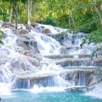 Dunn's River Falls plus Luminous Lagoon (Glistening Water)Private Tour - Who Would Love This Tour?