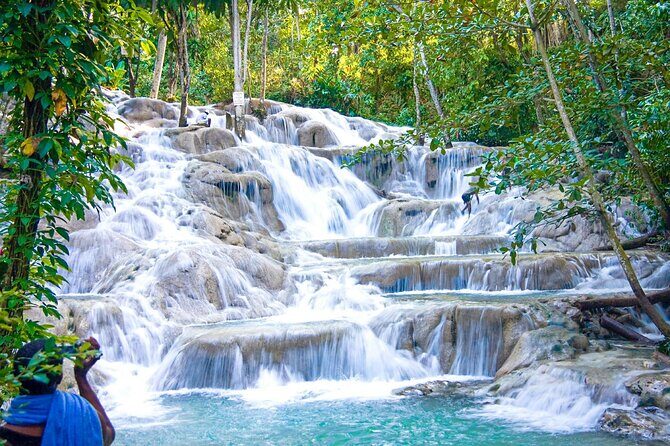 Dunn's River Falls plus Luminous Lagoon (Glistening Water)Private Tour - Who Would Love This Tour?