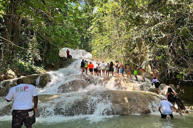 Dunns River Falls Private Tour ** {Entry Tickets Included }** - Practical Tips for Booking and Enjoying the Tour