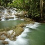 Dunn's River Falls Private Tour from Montego Bay - Exploring Dunns River Falls and Park