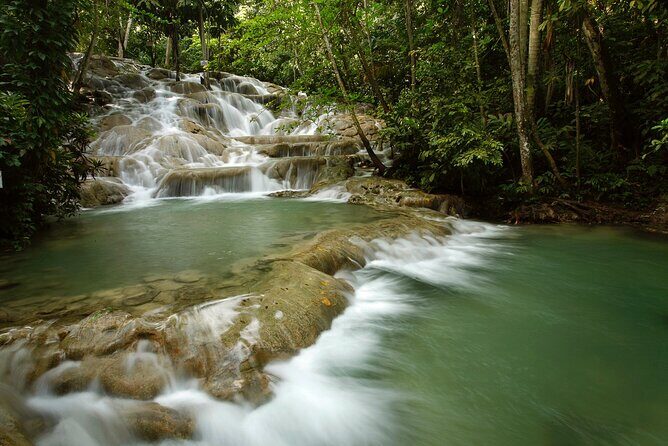 Dunn's River Falls Private Tour from Montego Bay - Exploring Dunns River Falls and Park