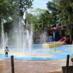 Dunn's River Falls Tour - What Travelers Can Expect