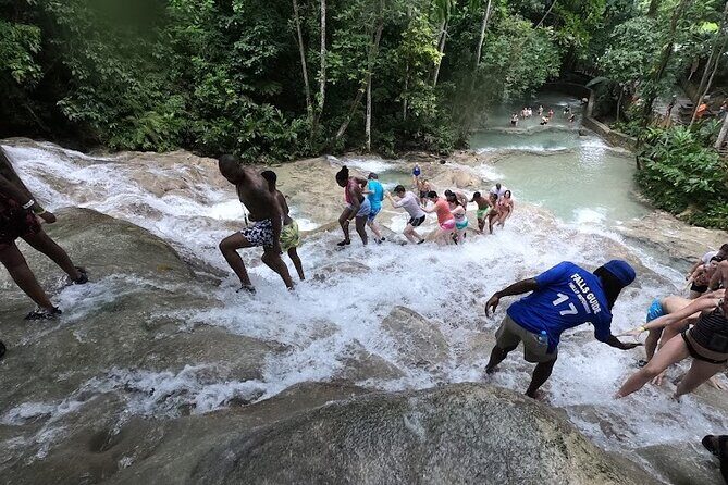 Dunns River Falls With Private Transportation from Montego Bay - What to Expect from the Itinerary