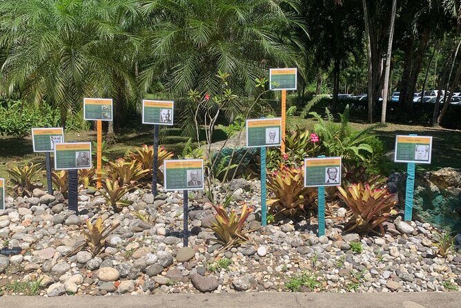 Dunn's River Falls, Zipline Adventure from Kingston - Who Will Love This Tour?