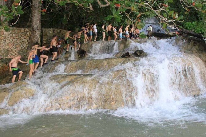 Dunns River Falls, Zipline, Bamboo Rafting & Horseback Tour - Who Will Love This Tour?