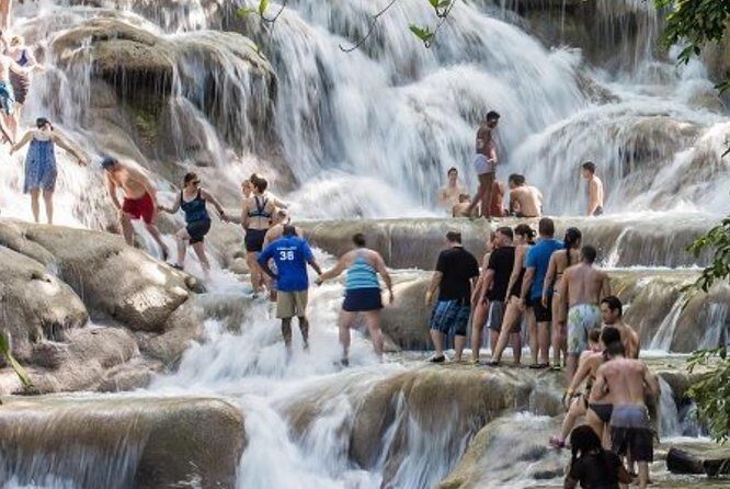 Dunn's River from Runaway Bay - Final Thoughts: Who Should Book This Tour?