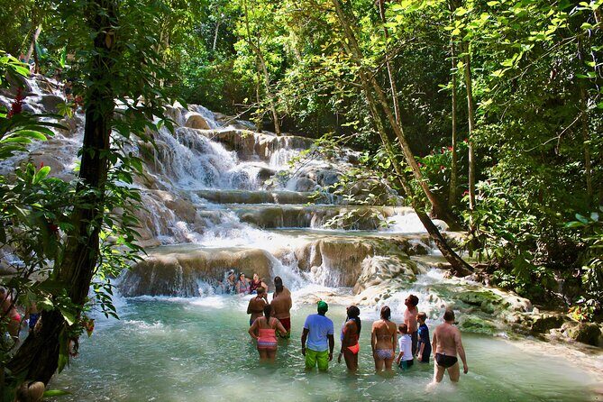 Dunn's River Private Tour from Montego Bay - Who Should Consider It?