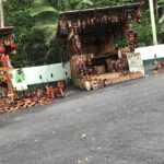 Dunns River Tour - The Practical Details