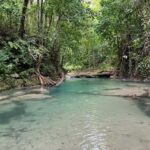 Earth Family Farms: Collier Gully Holistic River Nature Hike - What to Expect on the Tour