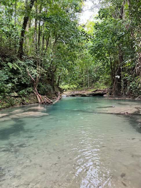 Earth Family Farms: Collier Gully Holistic River Nature Hike - What to Expect on the Tour