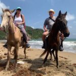East Coast Horseback Riding, Waterfall & Soufriere Private Tour - What We Loved (Based on Reviews)