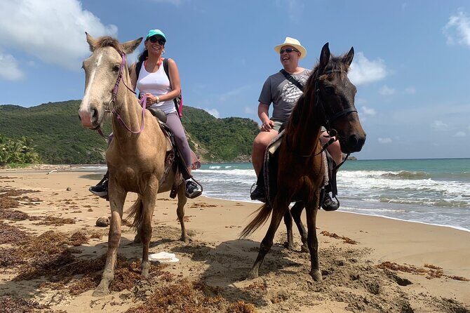 East Coast Horseback Riding, Waterfall & Soufriere Private Tour - What We Loved (Based on Reviews)