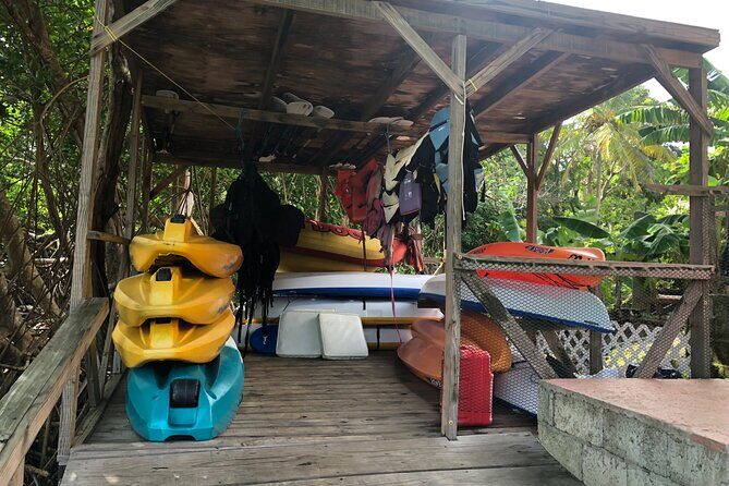 East Coast Private Island Day Trip Kayak & Picnic Experience - What Travelers Might Value Most