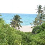 East Coast Private Tour of Barbados - Why This Tour Offers Great Value