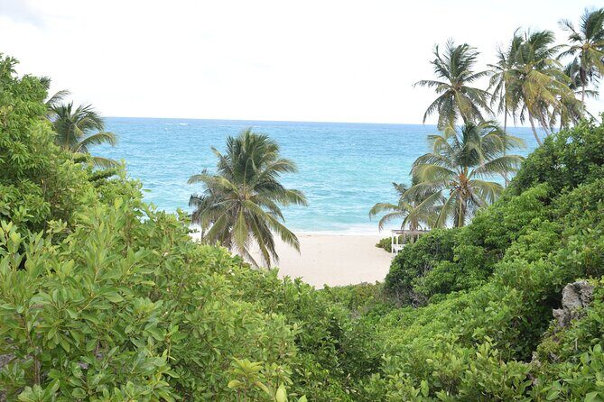 East Coast Private Tour of Barbados - Why This Tour Offers Great Value