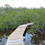 East End Private Day Trip Experience Tour - Practical Details & What to Expect