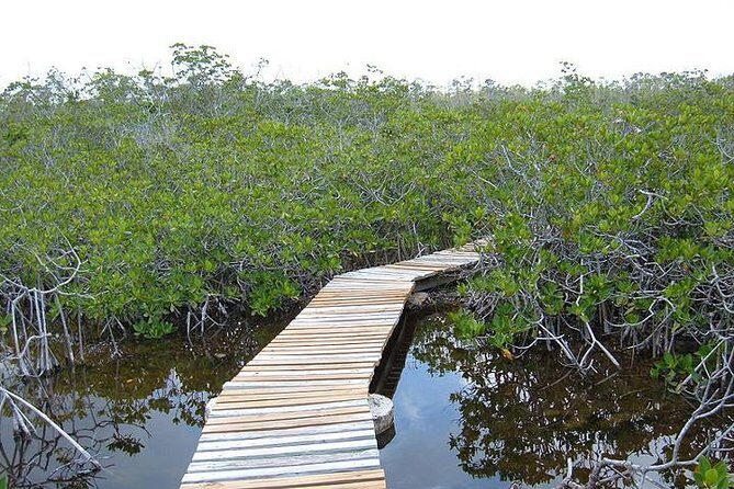 East End Private Day Trip Experience Tour - Practical Details & What to Expect