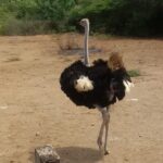 Eco & City Tour - Who Is This Tour Best For?