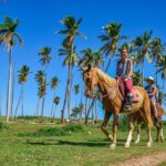 Eco Tour Playa El Limon (Excursion Multi-activités) - Transportation, Group Size, and Timing
