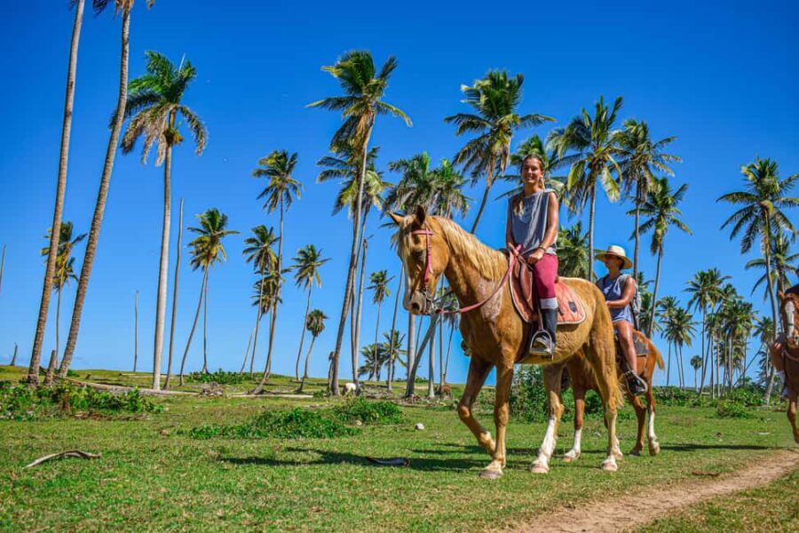 Eco Tour Playa El Limon (Excursion Multi-activités) - Transportation, Group Size, and Timing