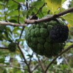 Ecological Park & Boat ride on the River - Who Should Consider This Tour?