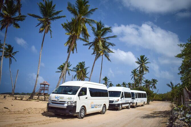 Effortless Airport Transfers in Punta Cana - The Human Element: Guides and Service