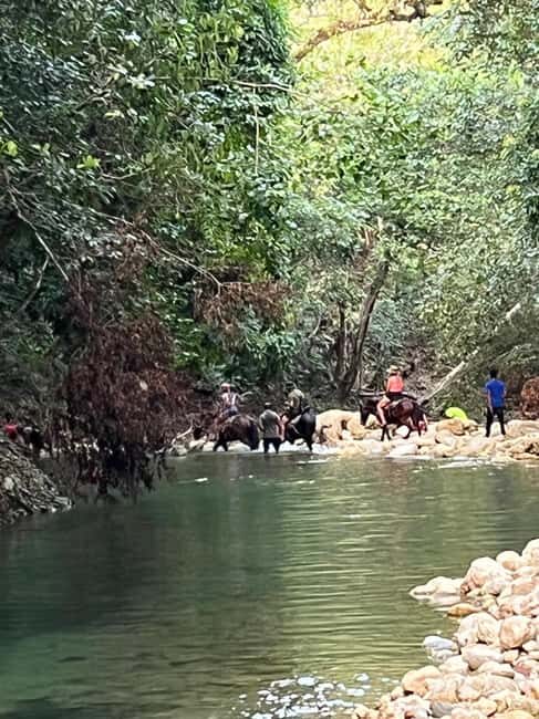 El Limon: Horse Ride Waterfall Waterfall Jump - What to Expect During Your Day