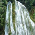 El Limon Waterfall and Cayo Levantado Tour - What Travelers Are Saying