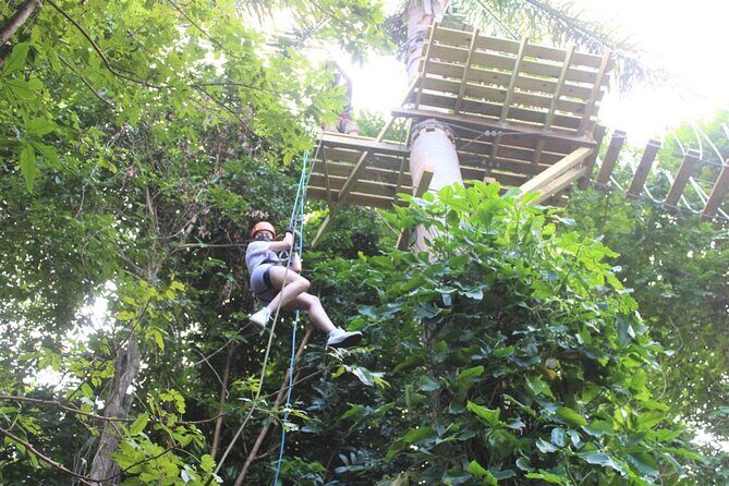 El Yunque Adventure Trail - Transportation and Logistics