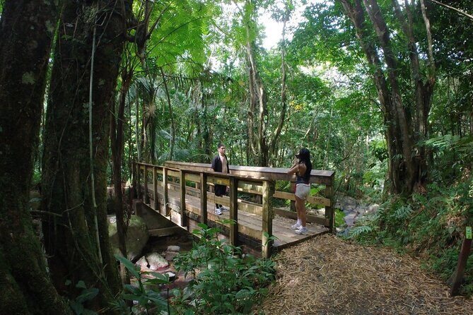 El Yunque Beach Jetski + Rainforest Hike Adventure Tour - Who Should Consider This Tour?