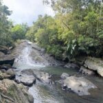 El Yunque & Beach Tour: Waterslide, Waterfall, Food, & Photos - Practical Details and Value