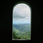 El Yunque Educational Rainforest Walk Easy and Family Friendly - An In-Depth Look at the Itinerary