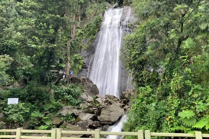 El Yunque National Forest and Luquillo Beach Tour - The Guides and Experience Quality