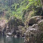 El Yunque Rainforest Adventure: Hidden Waterfalls & Water Slides - Final Thoughts