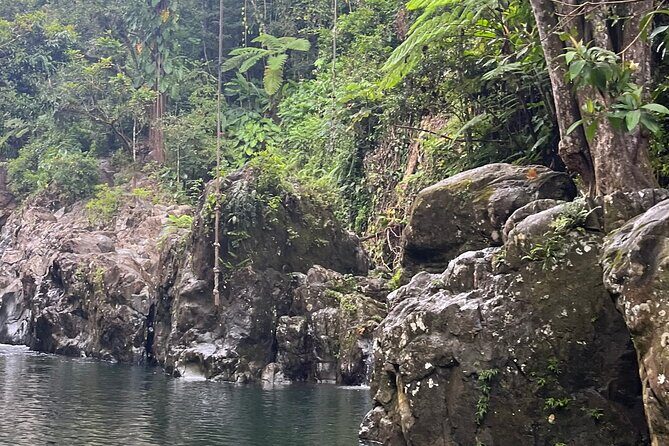 El Yunque Rainforest Adventure: Hidden Waterfalls & Water Slides - Final Thoughts