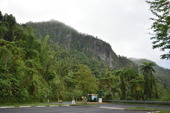 El Yunque Rainforest Guided Day Tour from San Juan - The Real Experience: Insights from Travelers