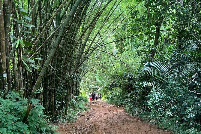 El Yunque Rainforest Hidden Waterpark Tour from San Juan - What to Expect at El Yunque National Forest
