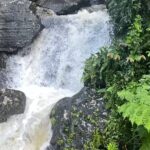 El Yunque Rainforest Hike with Transport from San Juan - The Itinerary in Detail