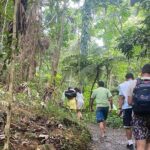 El Yunque Rainforest Hiking Tour from San Juan - The Highlights: Why Travelers Keep Coming Back