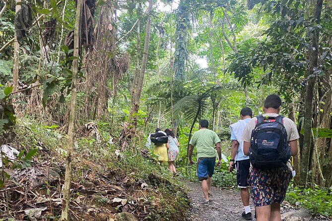 El Yunque Rainforest Hiking Tour from San Juan - The Highlights: Why Travelers Keep Coming Back