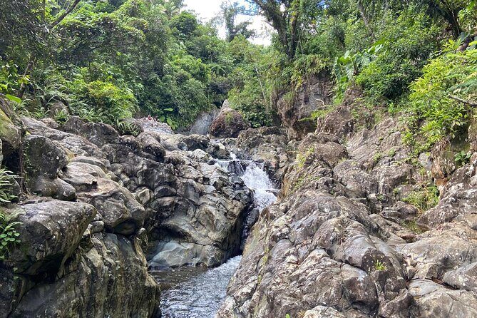 El Yunque Rainforest Morning River and Hike Adventure - Detailed Breakdown of the Itinerary