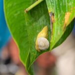 El Yunque Rainforest Tour from Fajardo - Who Should Consider This Tour?