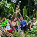 El Yunque Rainforest Waterslides and Luquillo Beach w/ Transport - The Value Proposition